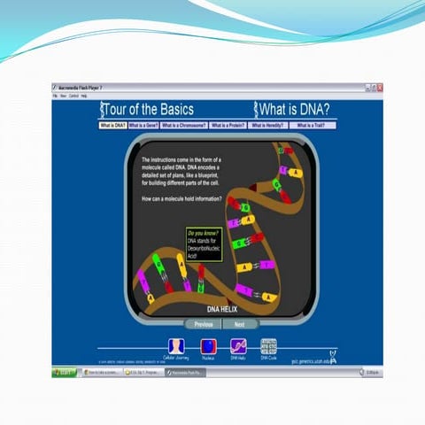 INTERACTIVE GENETICS TOOL | PPTX | Genetics | Science