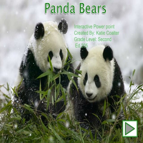 Interactive Powerpoint | PPTX