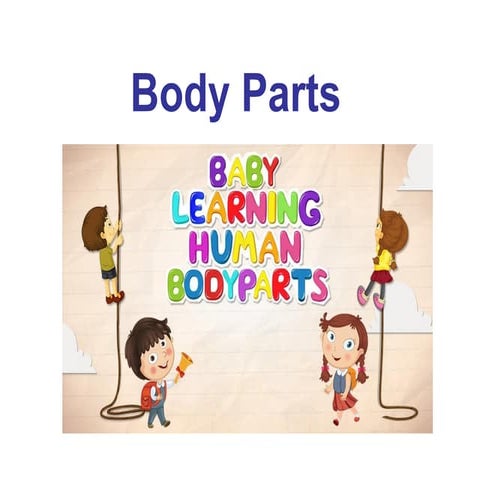 Body Parts | PPT