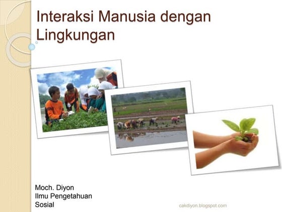 Lingkungan Hidup Presentasi. Tentang lingkungan hidup .pptx