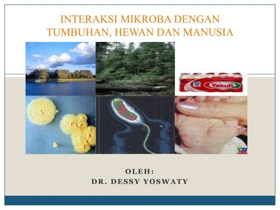 Kelompok 4, PIP, Produk pertanian non-pangan .pptx