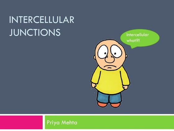 Cell junctions | PPT
