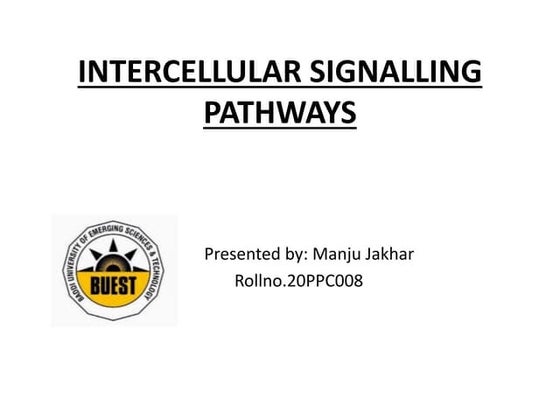Intercellular and intracellular cell signaling pathway | PPTX ...