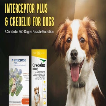 Interceptor Plus & Credelio for Dogs: A Combo for 360-Degree Parasite ...