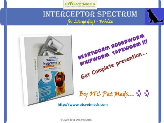 LRC Brochure Project | PDF | Veterinary Medicine | Pets