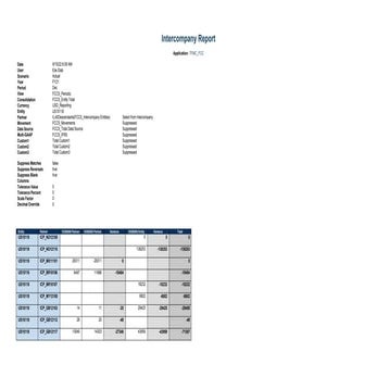 Intercompany Report.pdf