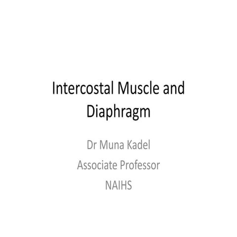 Intercostal Muscle and Diaphragm NAIHS pdf.pdf