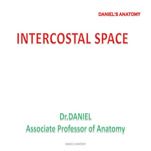 Intercostal space | PDF