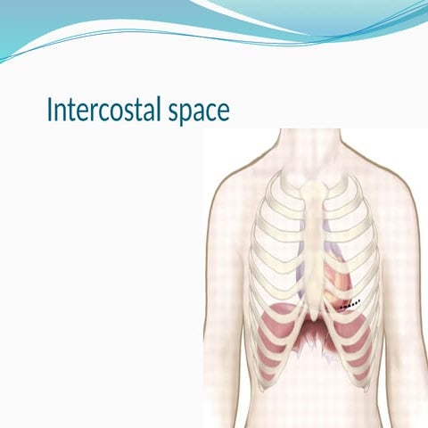 Intercostal space BPT II sem.pptx....... | PPT