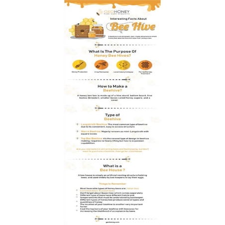 Interesting facts about Bee Hive | PDF