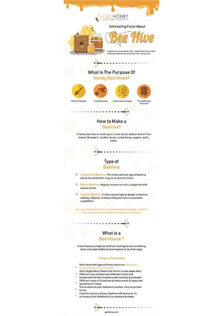 Bee and honey Infographic | PDF