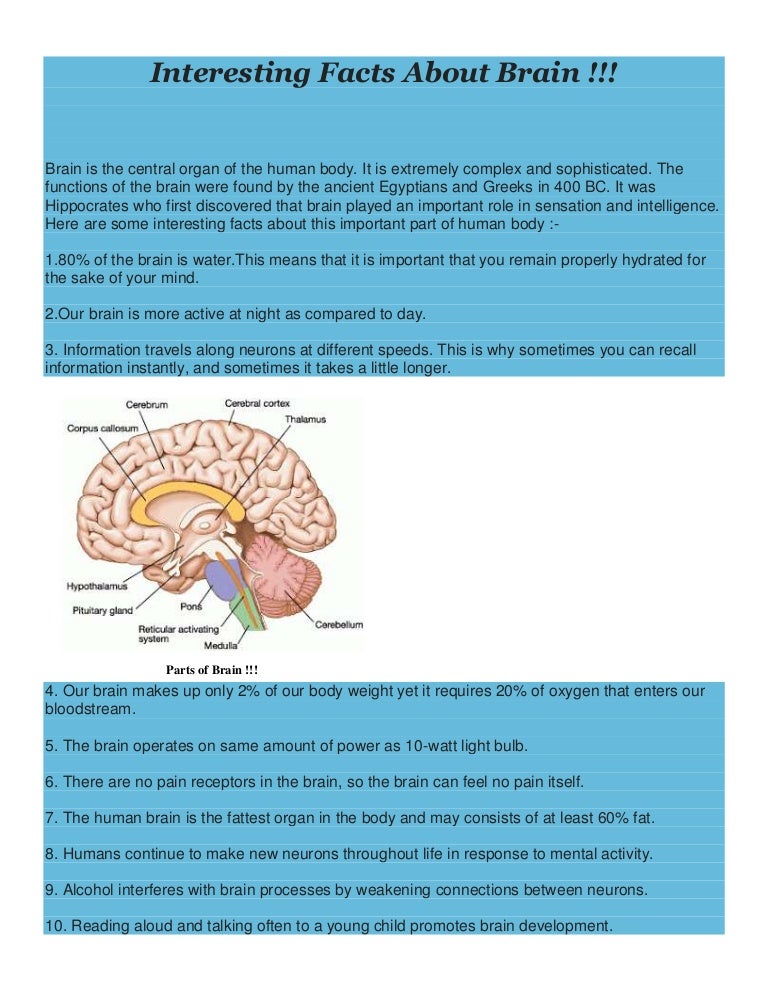 Interesting Facts About Brain interesting-facts-about-brain