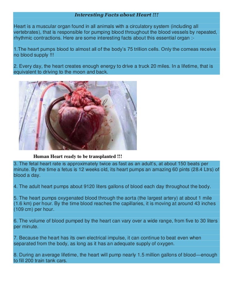 Interesting facts about heart Interesting facts about heart