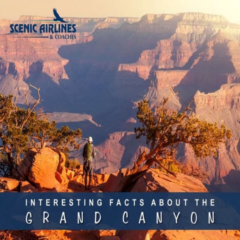 Interesting facts about the grand canyon | PDF