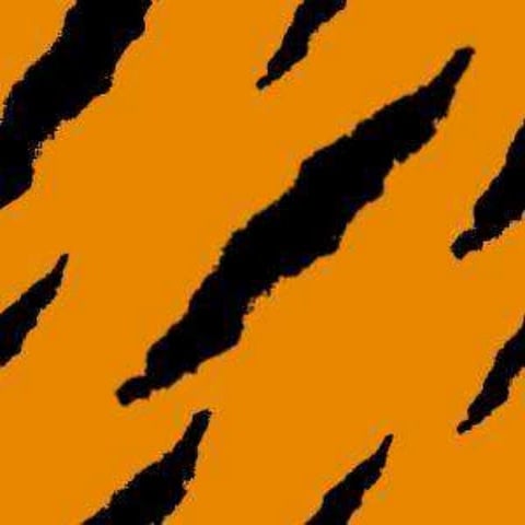 Interesting Facts About Tigers | PPTX
