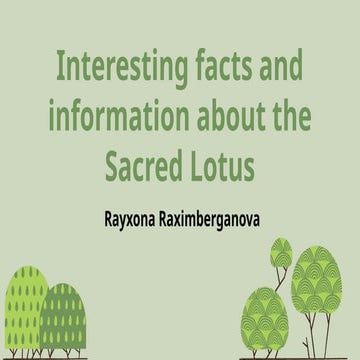 Interesting facts and information about the Sacred Lotus.pptx