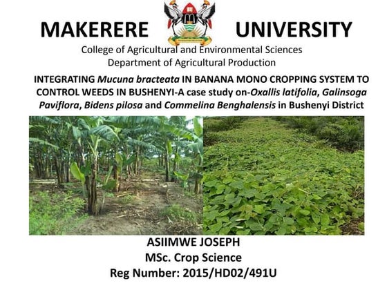 Pigeonpea improvement at ICRISAT-Patancheru | PPT