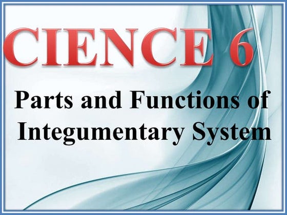Grade 6 Science Integumentary System.pptx
