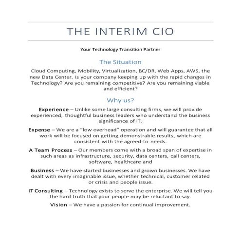 The Interim CIO | DOCX