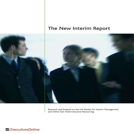 Interim-Management Report Europe | PDF