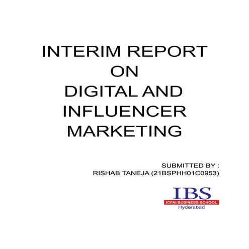 INTERIM REPORT .pdf