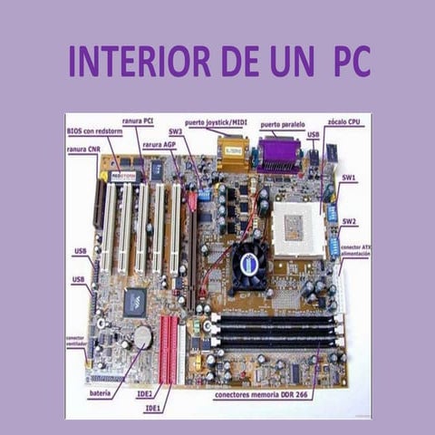 Interior de un PC | PPTX | Data Storage and Warehousing | Computing