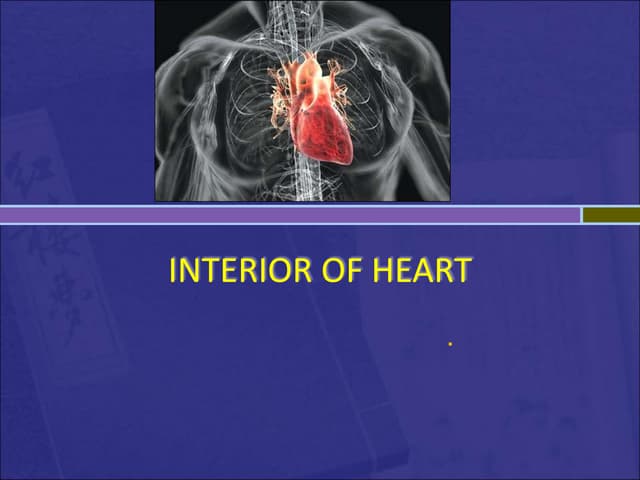 3 internal features of the heart | PPTX