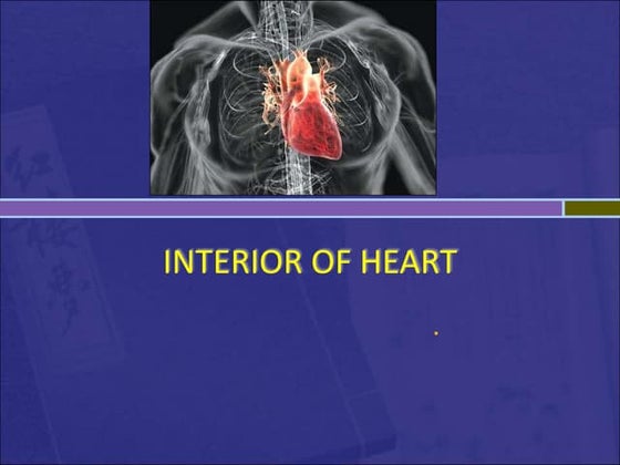 3 internal features of the heart | PPTX