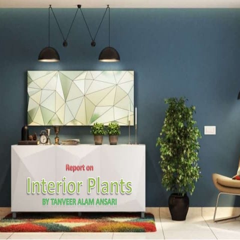 Interior plants | PPT