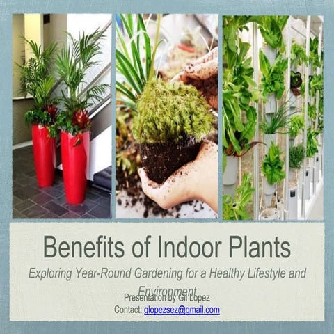 Benefits of Interior Plants | PPTX