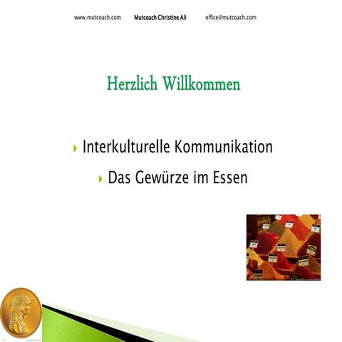 Einfuehrung interkulturelle-kompetenz | PDF