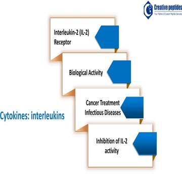 Interleukin 2-creative peptides | PPTX