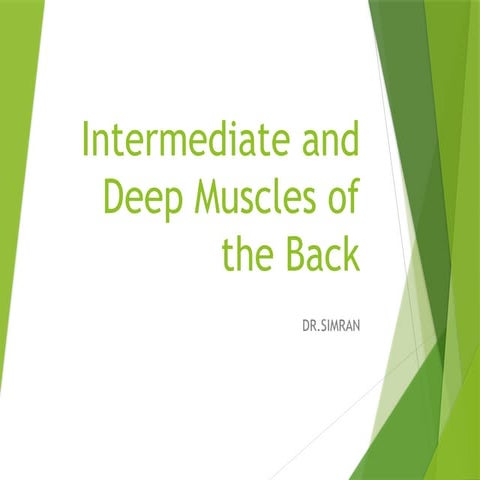Intermediate_and_Deep_Back_Muscles_Presentation[1].pptx