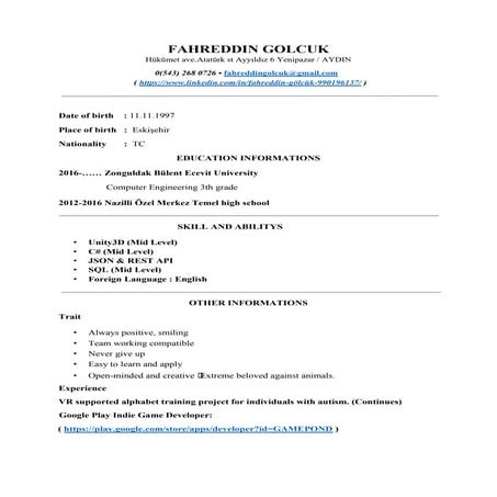 Intern cv-eng | PDF
