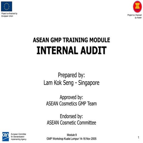 Interna_ Audit_Module.ppt