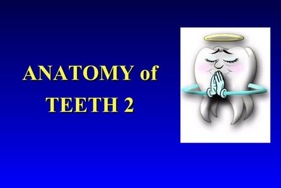 Tooth numbering system | PPTX | Dental Health | Diseases and Conditions
