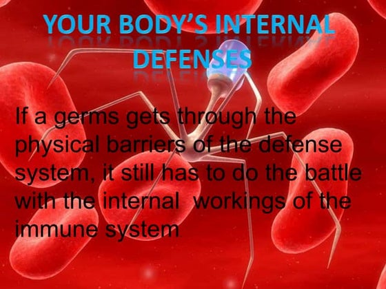 Life Science 6.2 : Your Body Defenses | PPTX | Infectious Diseases ...