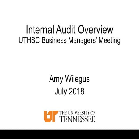 internal-audit-overview.pptx is for the students | PPTX