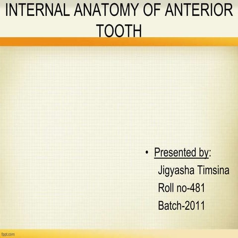 Internal anatomy of anterior tooth | PPTX