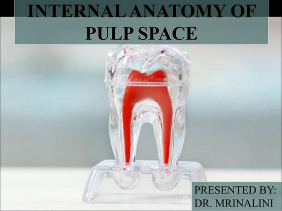 Anatomy of pulp chamber | PPT
