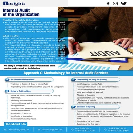 Internal Audit of the Organization | PDF