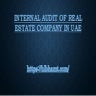 Internal Audit of Real Estate Company in UAE.pptx