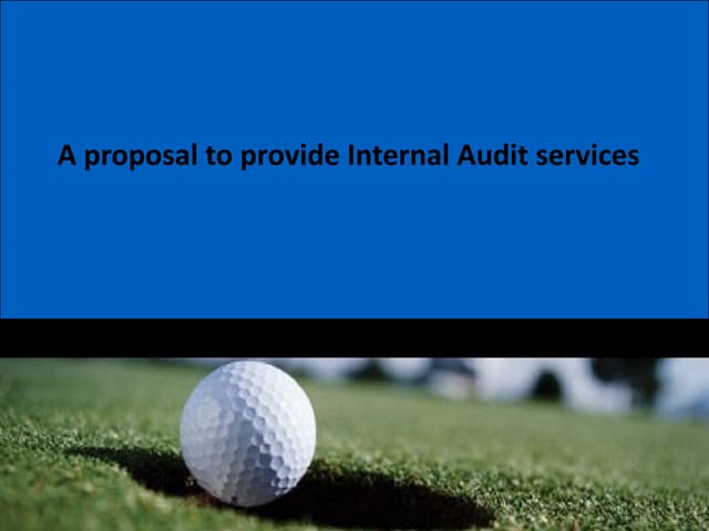 Jenitha John on Auditing, Growth, and Governance | PDF