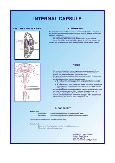 S3 and s4 heart sounds | DOC | Heart and Cardiovascular Diseases ...
