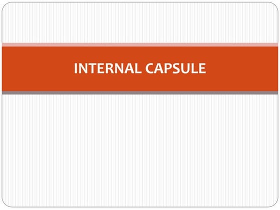 Internal Capsule-Anatomy | PPT