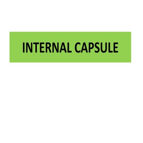 internal capsule.pptx