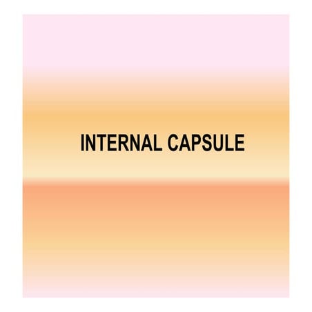 Internal Capsule.pdf
