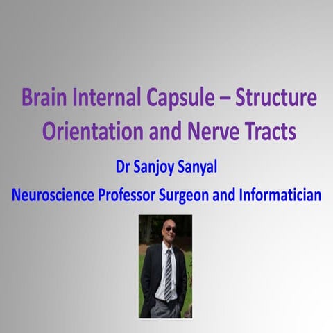 Brain Internal Capsule – Structure Orientation Tracts - Sanjoy Sanyal ...