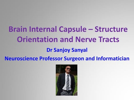 Internal Capsule-Anatomy | PPT