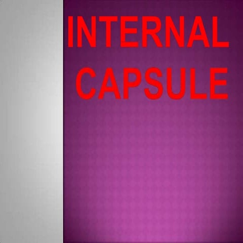 internal capsule white matter of cerebrum.pptx